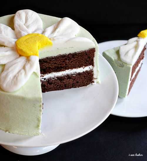 Thin Mint Cake {Daisy Cake Tutorial} - i am baker