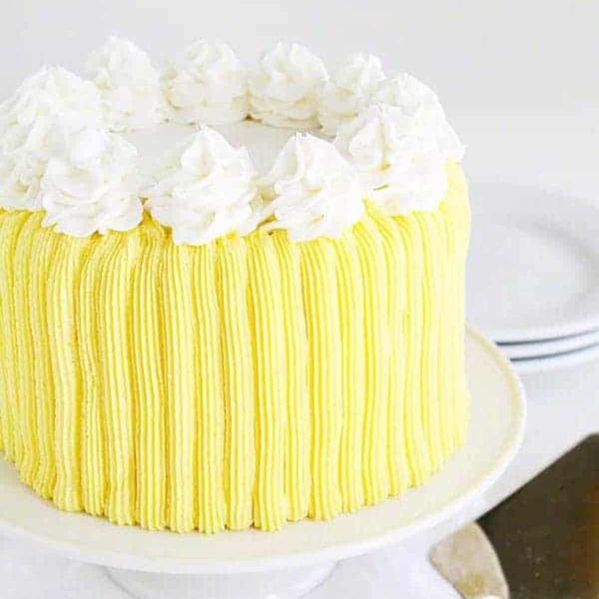 The Best Cake Recipes | Various Cakes | I Am Baker