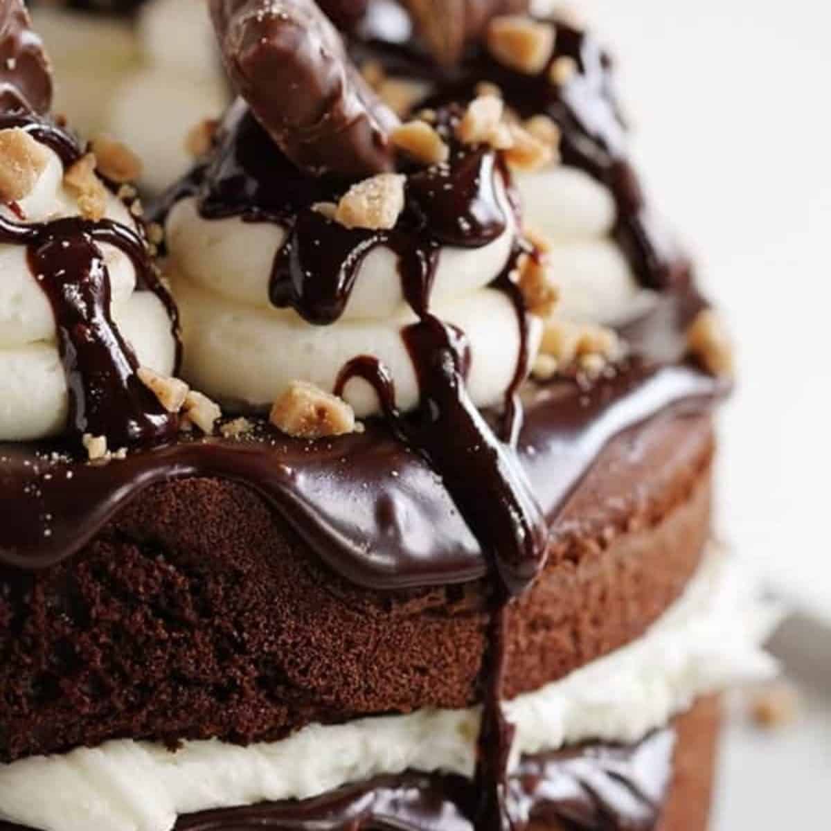 The Best Cake Recipes | Various Cakes | I Am Baker