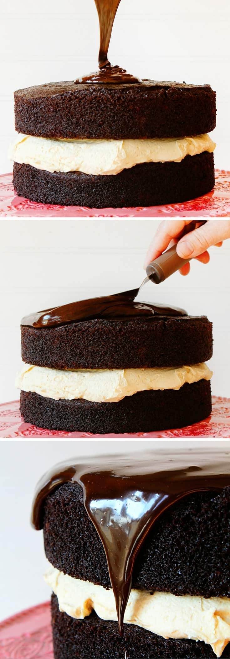 Biscoff Buckeye Cake - i am baker