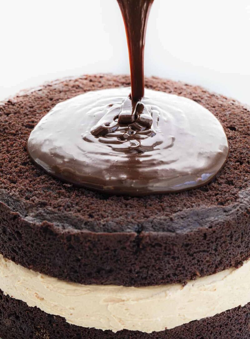 Biscoff Buckeye Cake - i am baker