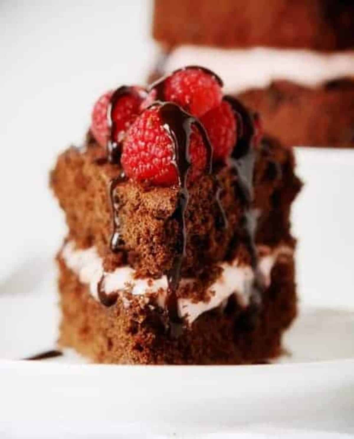 Skinny Chocolate Raspberry Cake - i am baker
