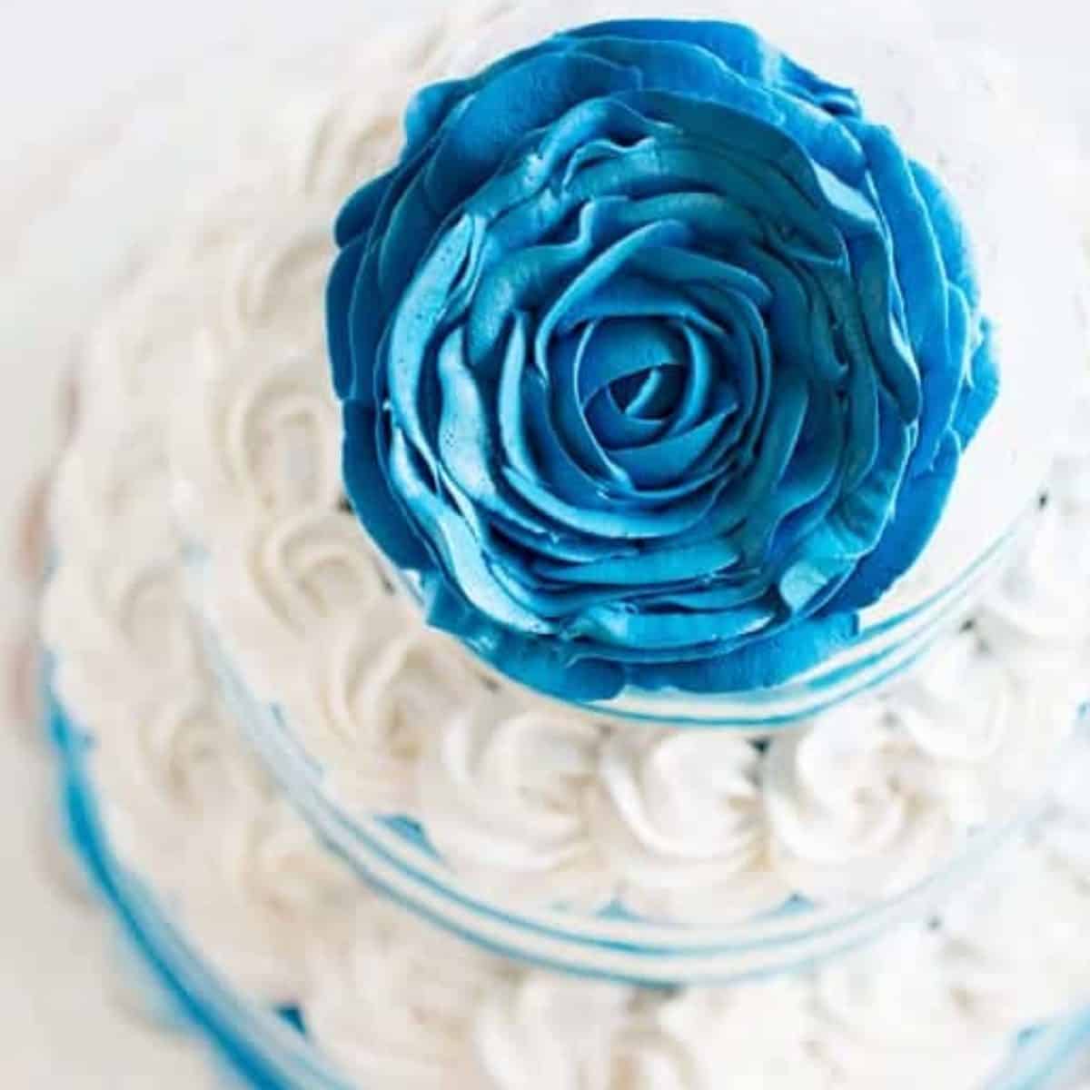 The Best Cake Recipes | Various Cakes | I Am Baker