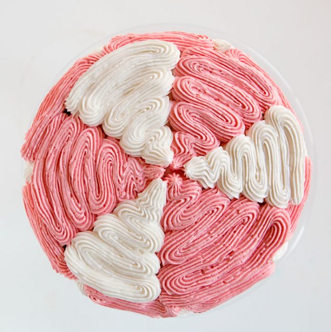 Easy Harlequin Cake - i am baker