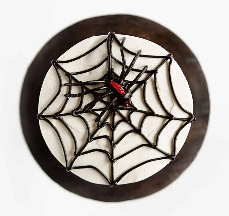 Spider Cake {VIDEO TUTORIAL} - i am baker