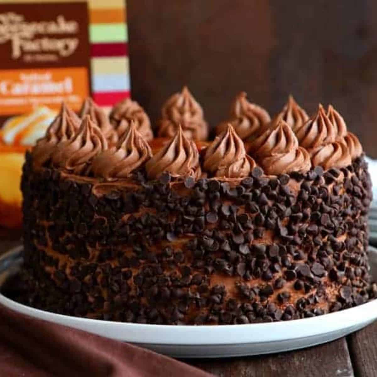 The Best Cake Recipes | Various Cakes | I Am Baker