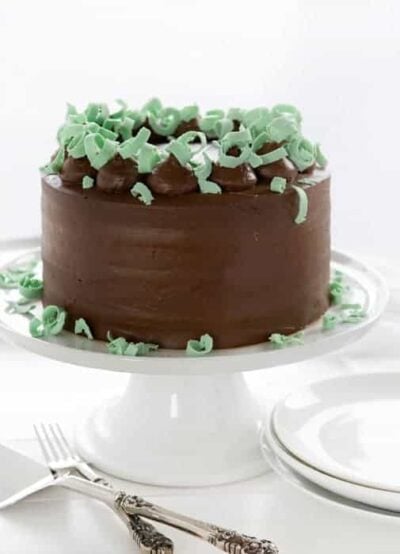 Mint Chocolate Cake {VIDEO} - i am baker