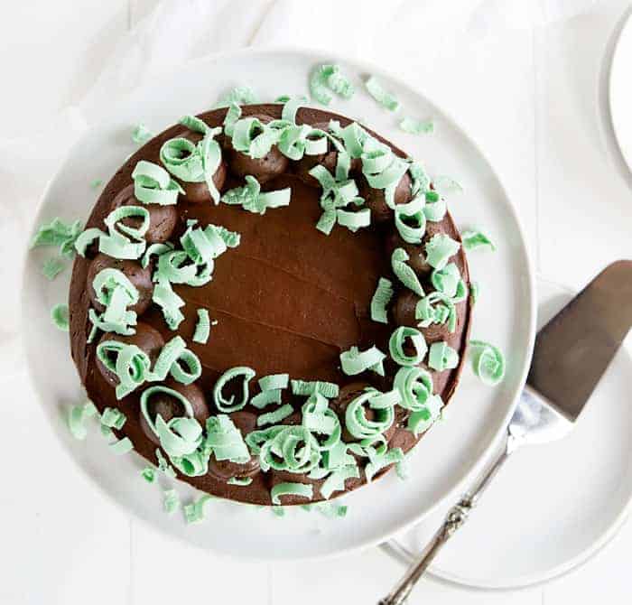 Mint Chocolate Cake {VIDEO} - i am baker