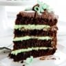 Mint Chocolate Cake {VIDEO} - i am baker