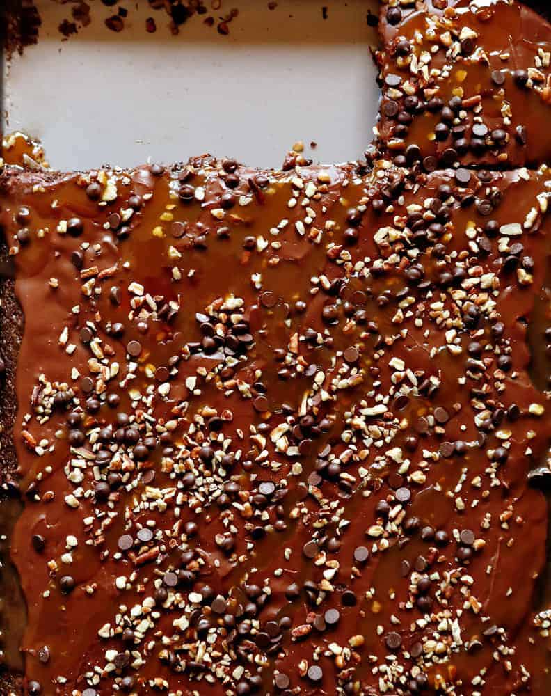 Texas Turtle Sheet Cake VIDEO I Am Baker