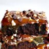 Texas Turtle Sheet Cake {VIDEO} - i am baker