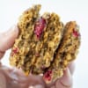 Raspberry Oatmeal Cookies - i am baker