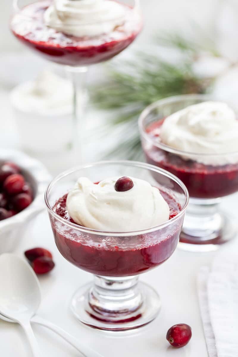 Cranberries in Snow - i am baker