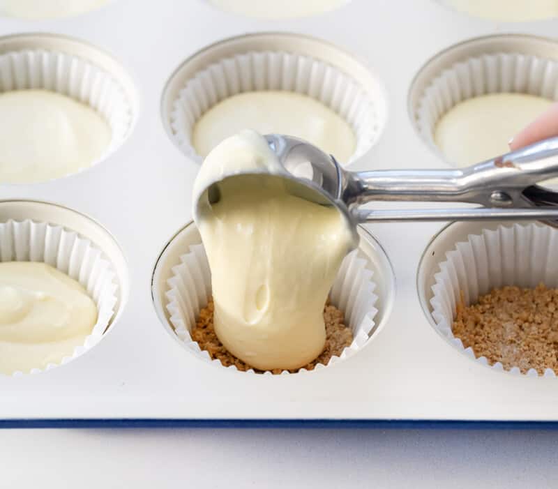 Mini Cheesecake Recipe - i am baker